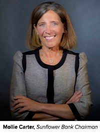 Teresa S. Van De Bogart Joins Sunflower Bank’s Board of Directors ...